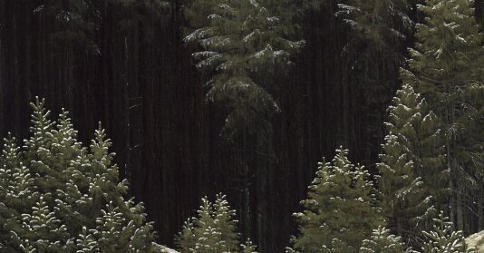Early Snow by Caspar David Friedrich – Art print, wall art, posters and ...