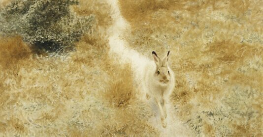 A Winter-Hare in a Landscape by Bruno Liljefors – Art print, wall art ...