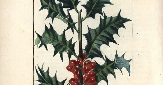 Holly by Pierre Jean Francois Turpin – Art print, wall art, posters and ...